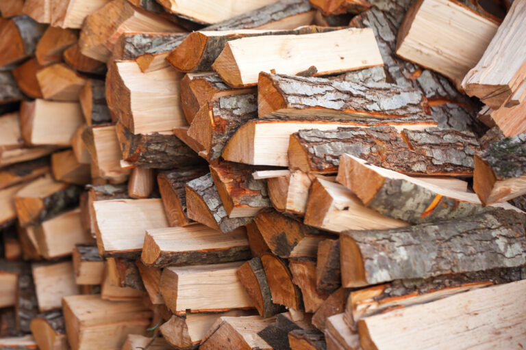 The Best Types of Firewood for Long-lasting Heat: A Guide for Winter ...